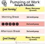 Pumping at Work- Tips – Pump Momma Pump